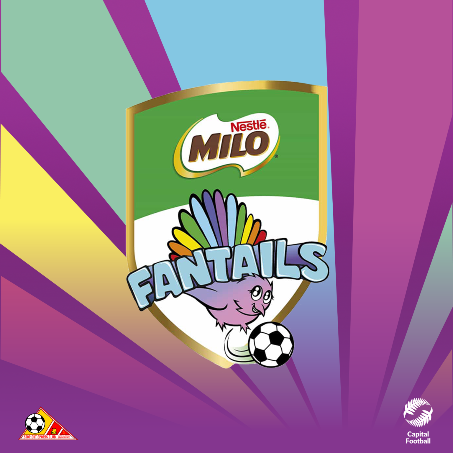 Hutt Fantails Term 4 2024 - Stop Out Sports Club